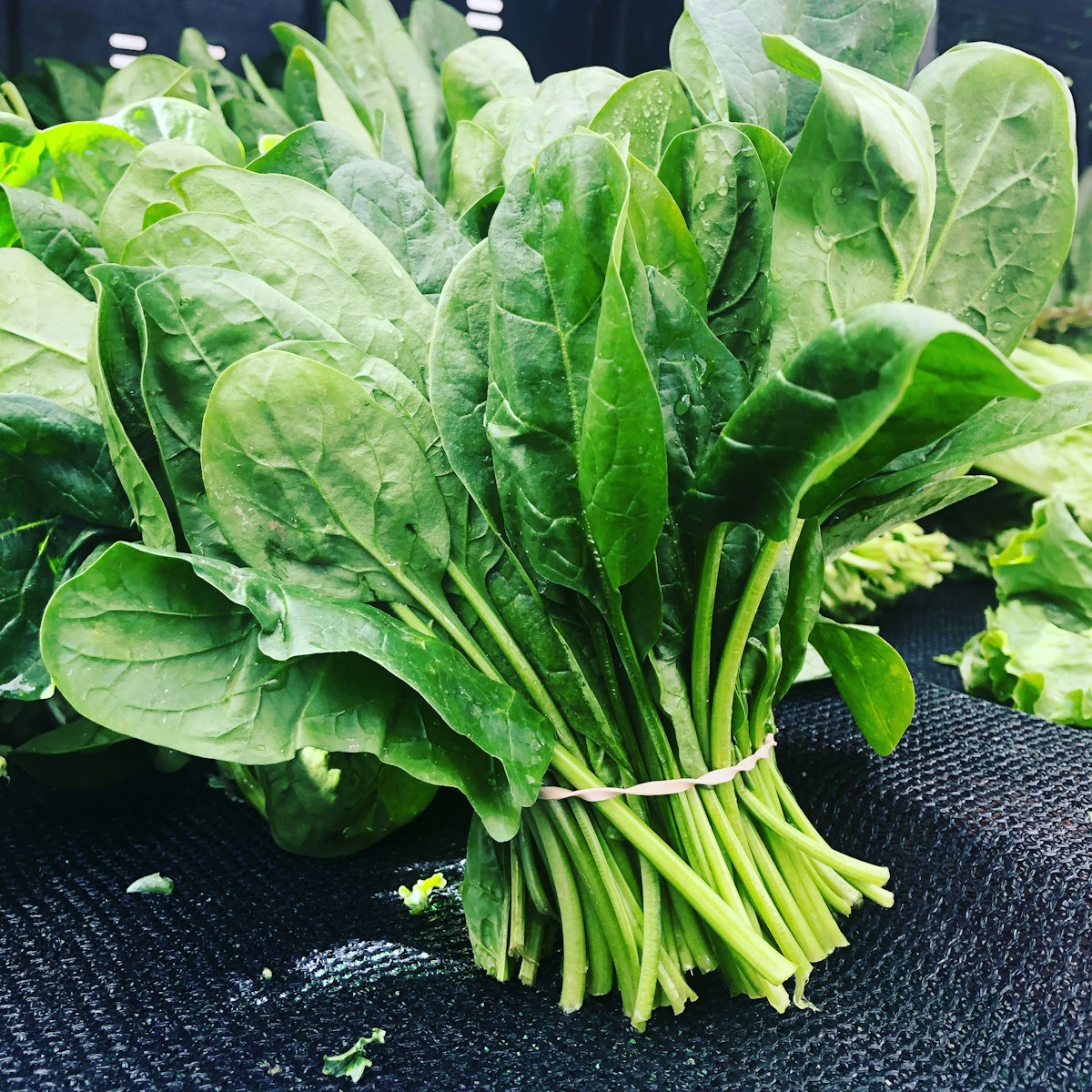 Can Goats Eat Spinach? A Complete Guide to Feeding Spinach Safely ...